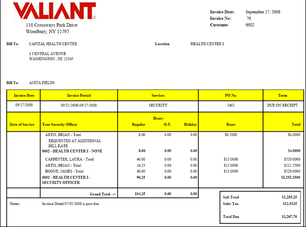 VISION: Billing - Invoice Examples – GuardTek Help Center