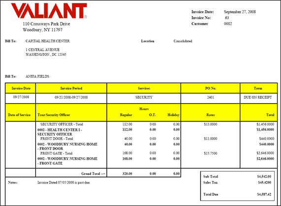 VISION: Billing - Invoice Examples – GuardTek Help Center