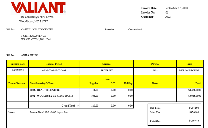 VISION: Billing - Invoice Examples – GuardTek Help Center